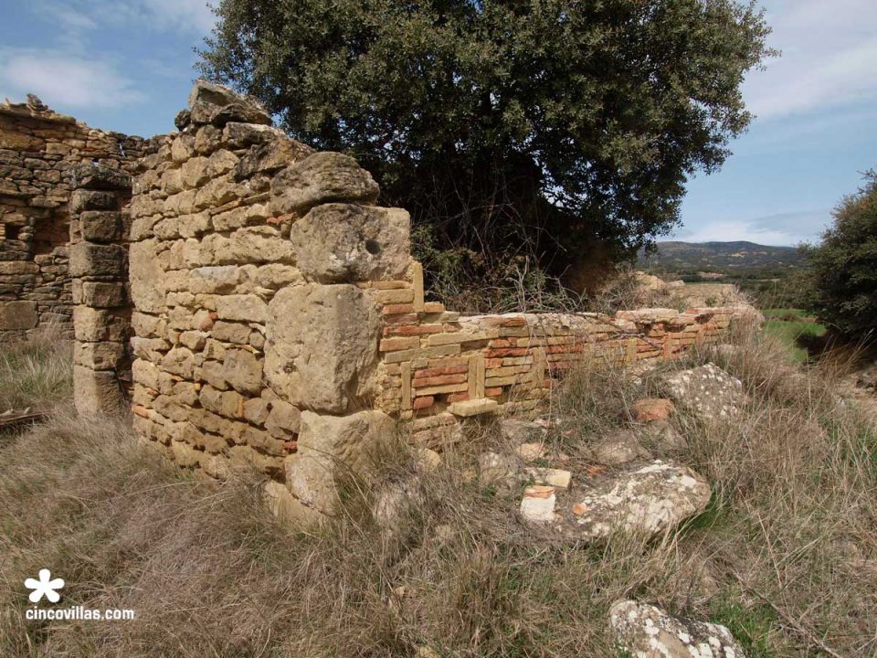 Abejas y Abejares en Cinco Villas. - Cinco VillasCinco Villas